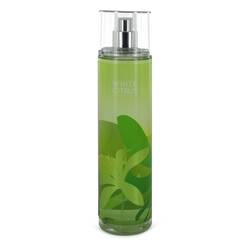 Bath & Body Works White Citrus Perfume - FragranceX